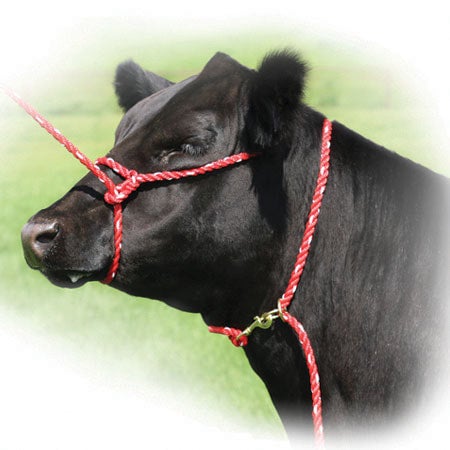 Cattle Rope Halter | Neighborly Tack