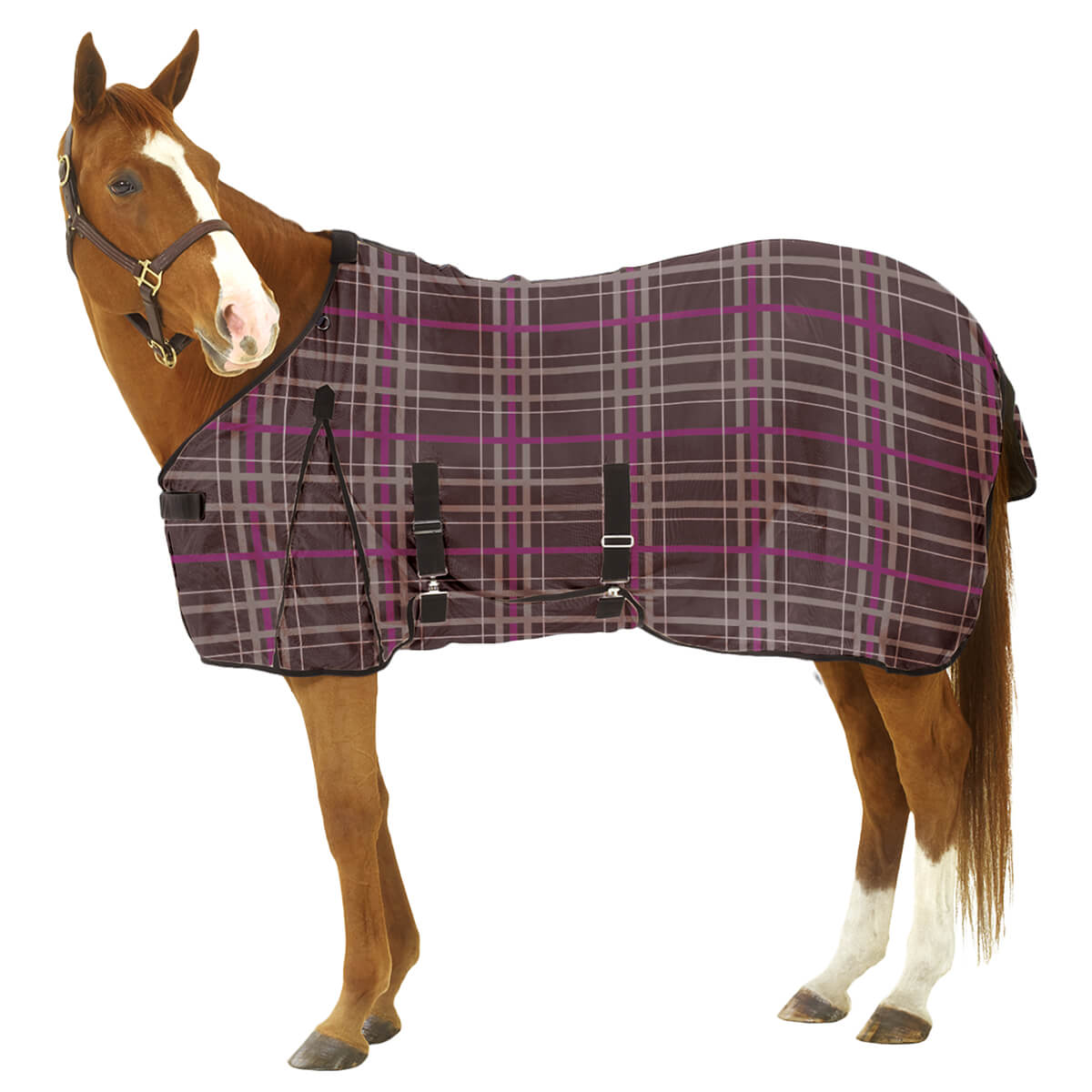 Pessoa fly sheet w/ belly cover | Neighborly Tack